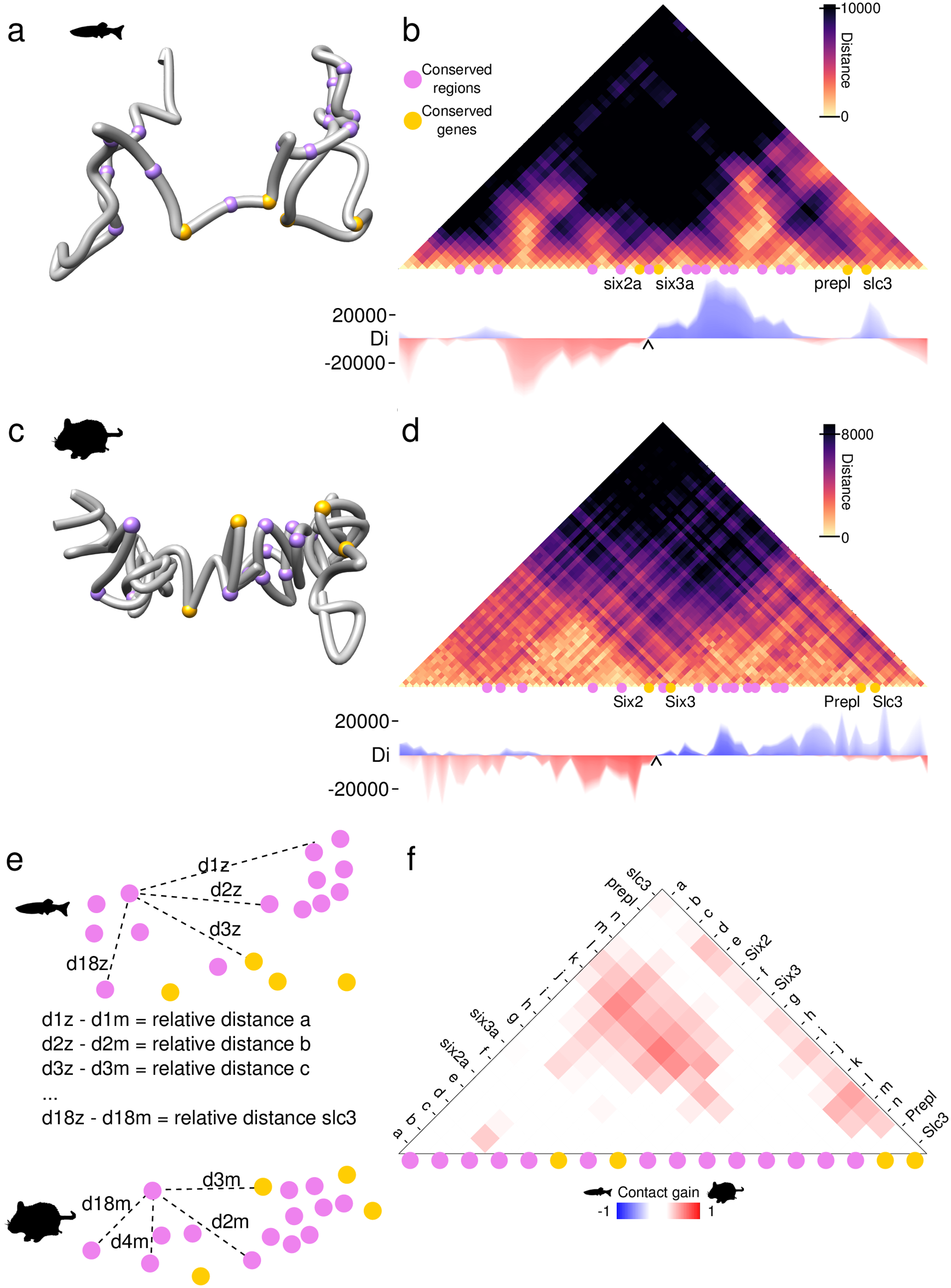 Running an interdisciplinary bioscience course, and reconstructing the ...
